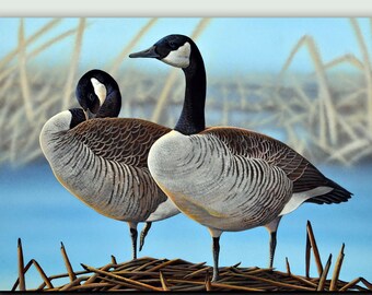 Canada Geese Print | Etsy