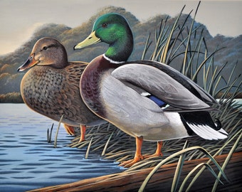 Mallard Duck Print | Etsy