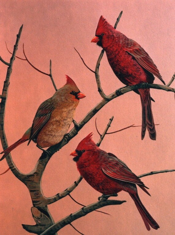 Wall Hangings Cardinal and Moth fine art giclee print Wall Decor etna ...