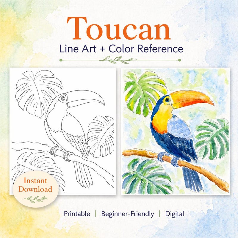 Toucan Drawing - Etsy