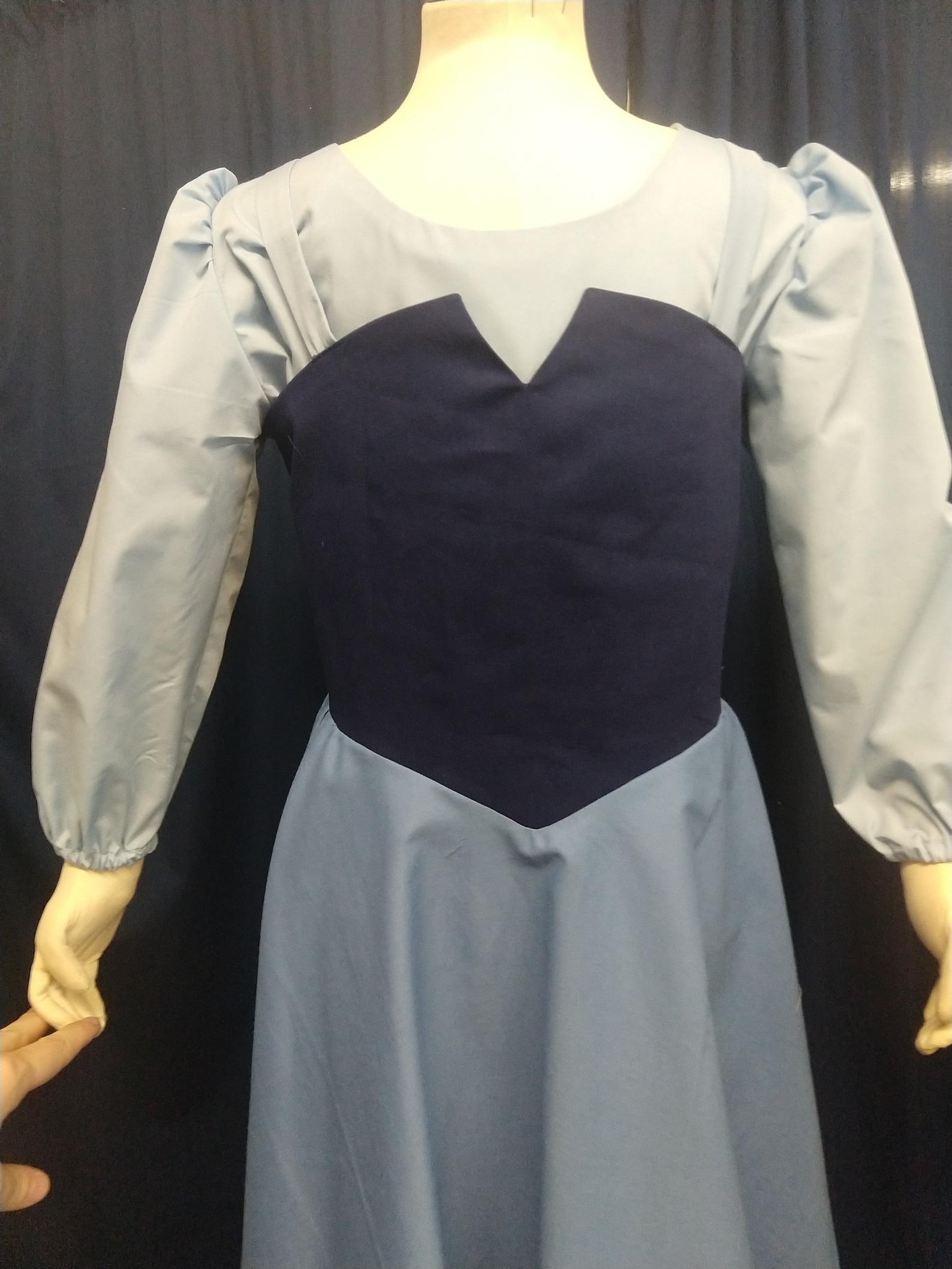 Ariel's kiss the Girl Human Dress From the | Etsy