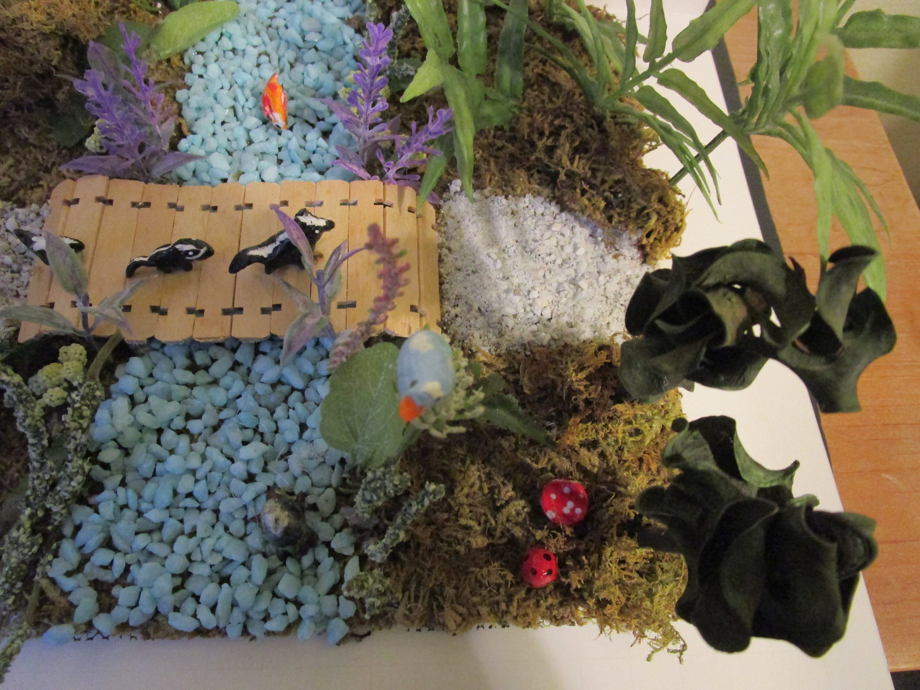 Snake With Shoe Box Projects