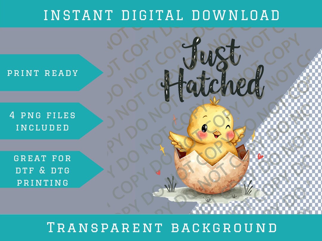 Just Hatched New Baby Chick Png Bundle, Digital Downloads - Etsy