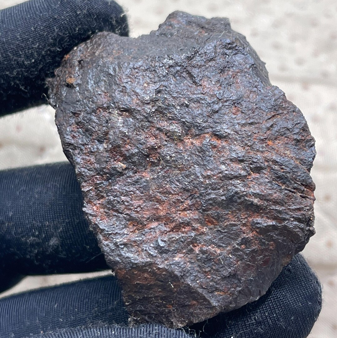 Muonionalusta Meteorite Slice: Protolith Etched Iron Specimen ...
