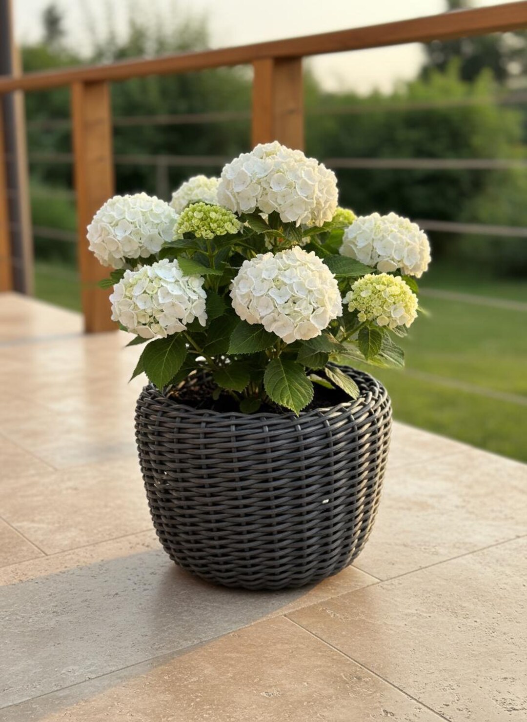 Handwoven Rattan Plant Pot Cover – Natural Wicker Cachepot, 6L/12L - Etsy