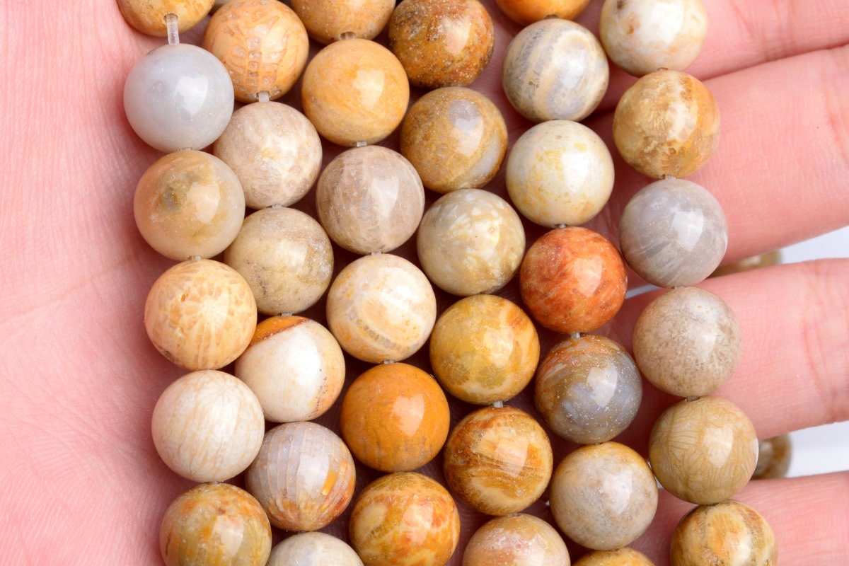 Coral Fossil Jasper Beads Grade A Genuine Natural Gemstone Round Loose ...