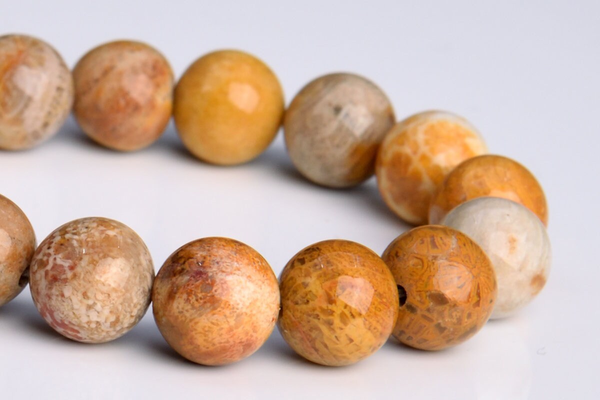 Coral Fossil Jasper Beads Grade A Genuine Natural Gemstone Round Loose ...