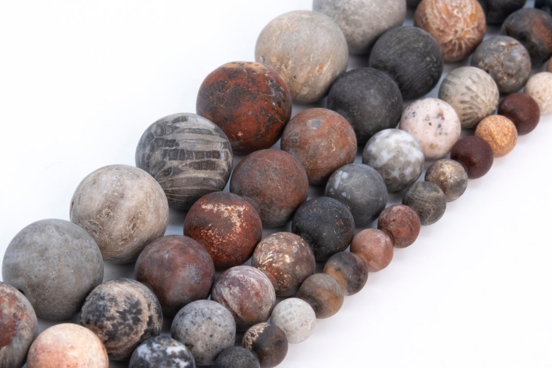 Matte Multicolor Coral Fossil Jasper Beads Genuine Natural Grade AAA ...