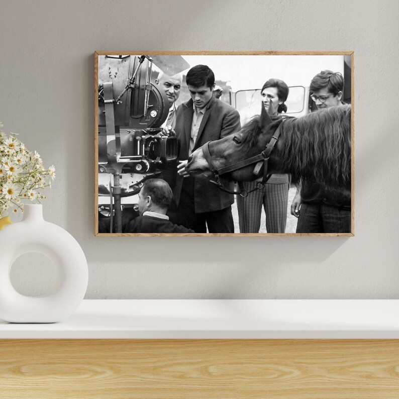 Alain Delon Poster, Photography Prints, Vintage Poster, Horse Wall Art ...