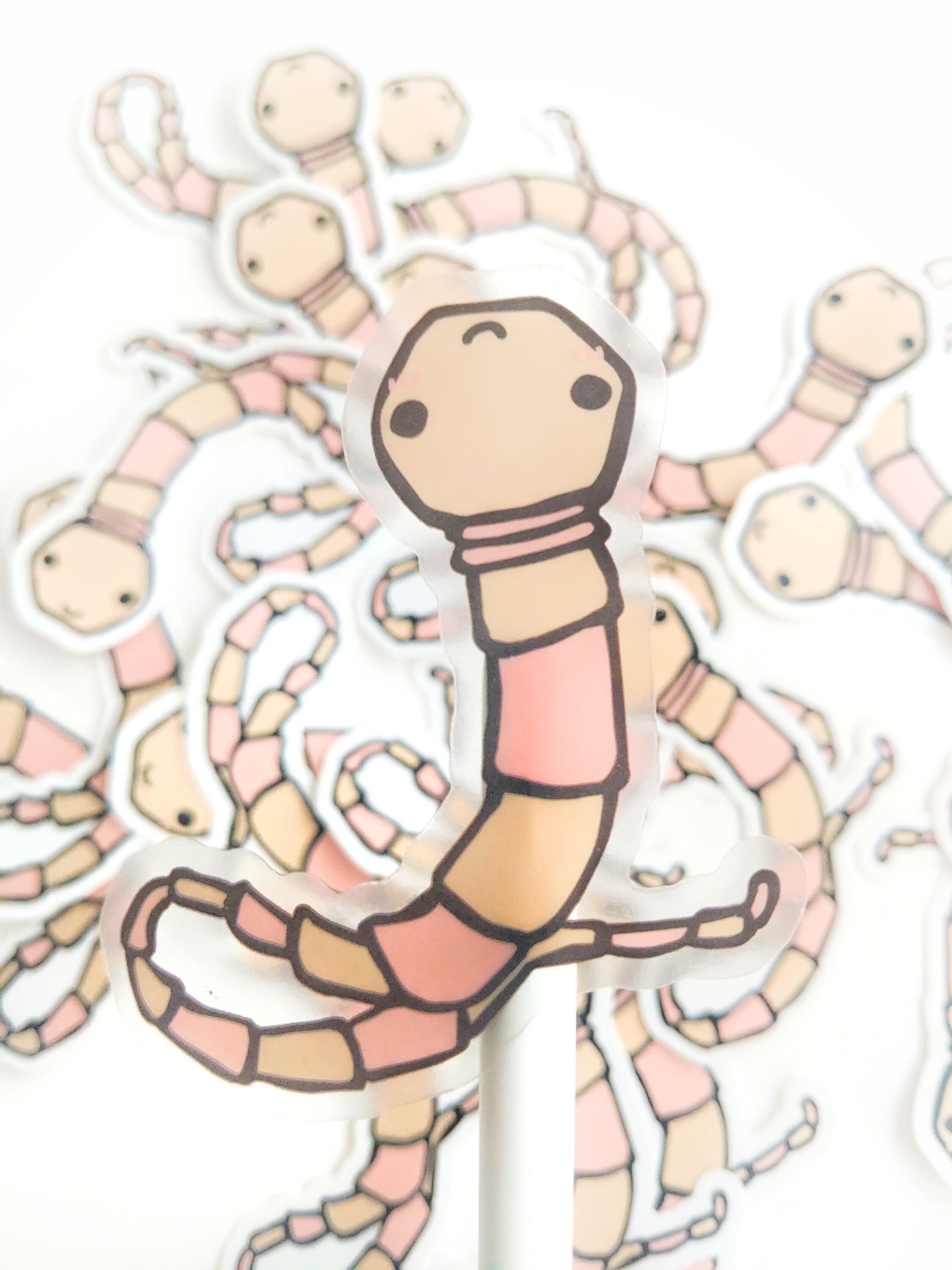 Cute tapeworm vinyl sticker decal clear vinyl sticker | Etsy