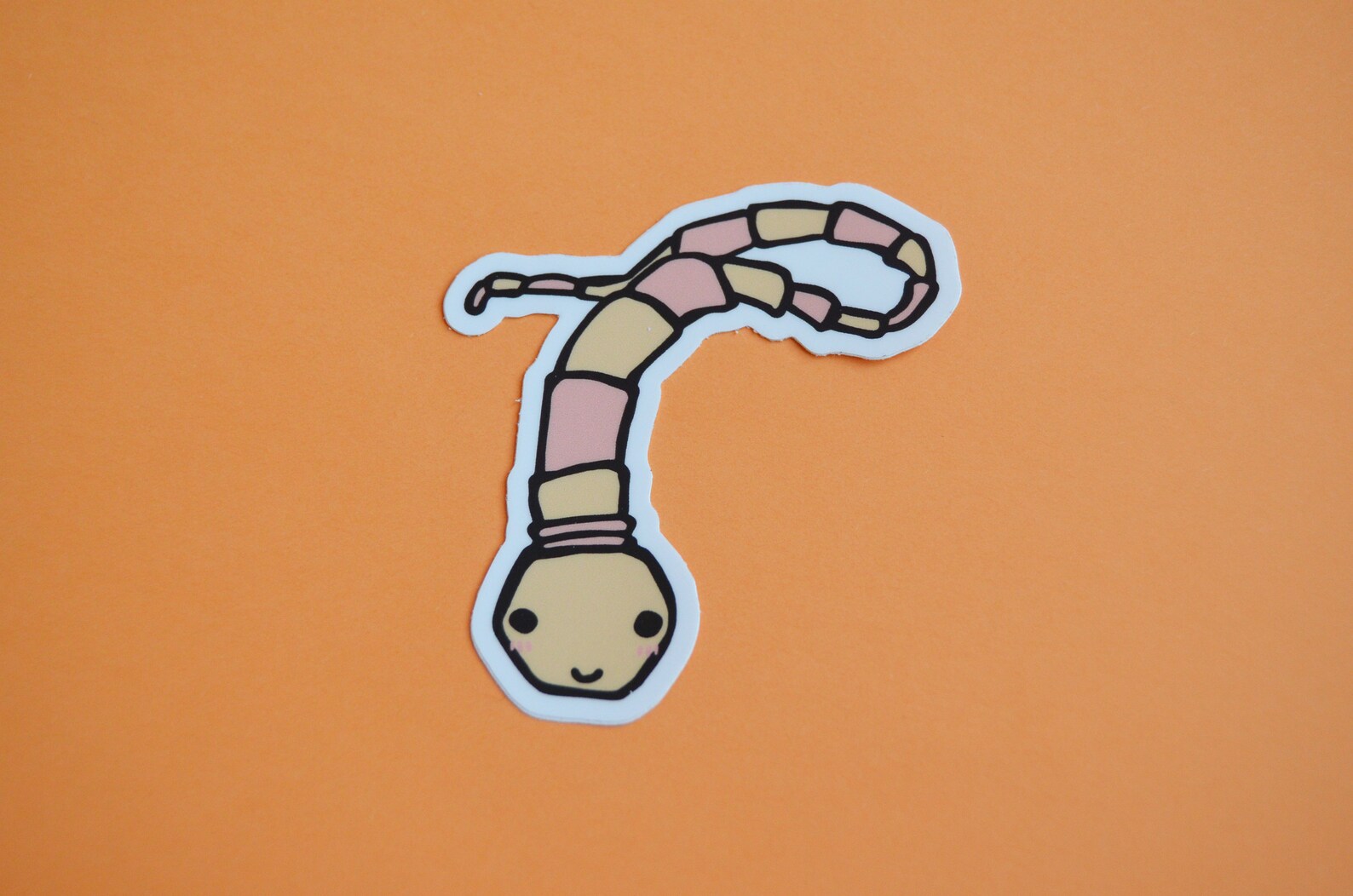 Cute tapeworm vinyl sticker decal | Etsy