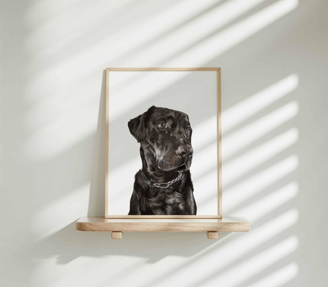 Dog Art Print - Archie the Labrador - Etsy