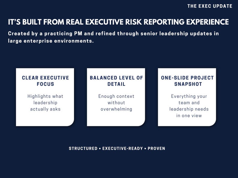 Executive Risk Snapshot Template | One Page Report | Powerpoint Program ...