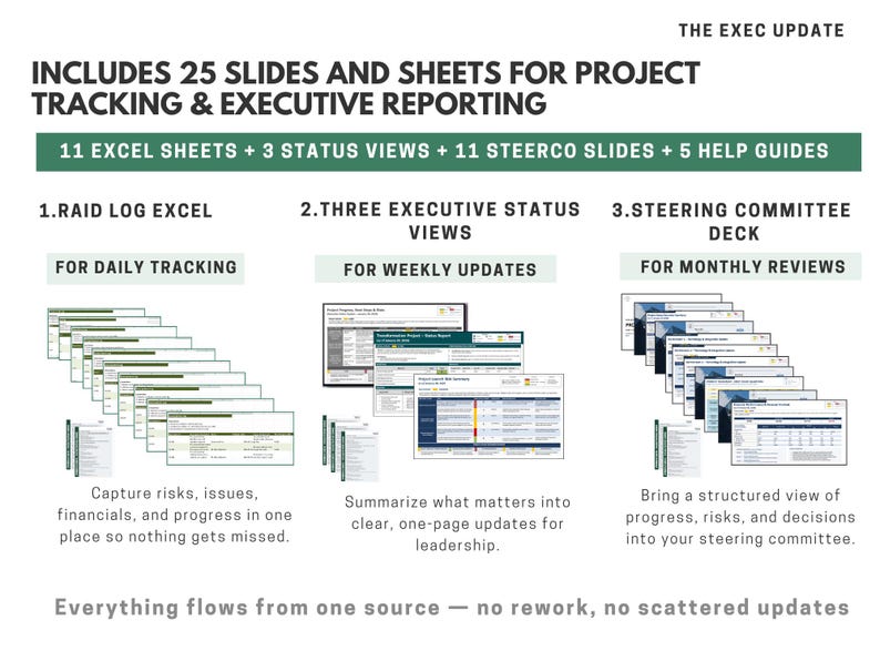 Project Manager Reporting Bundle | RAID Log Excel, Executive Status ...