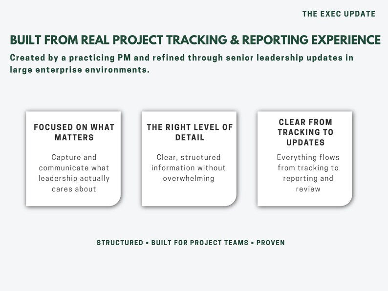 Project Management Bundle | RAID Log Excel + Executive Status Report ...