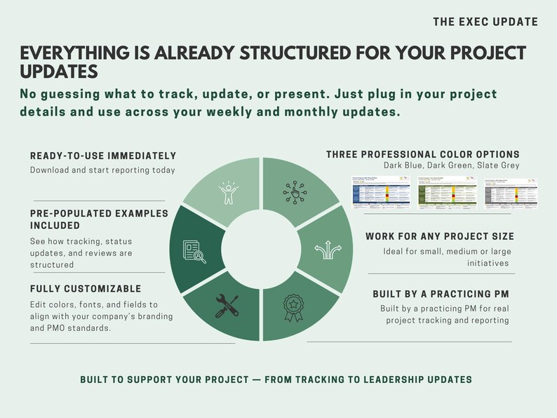 Project Management Bundle | RAID Log Excel + Executive Status Report ...