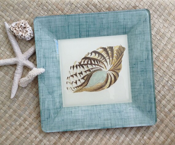 Items similar to Beach Decor / Sea Shell Art / Decoupage Plate Wall Art ...