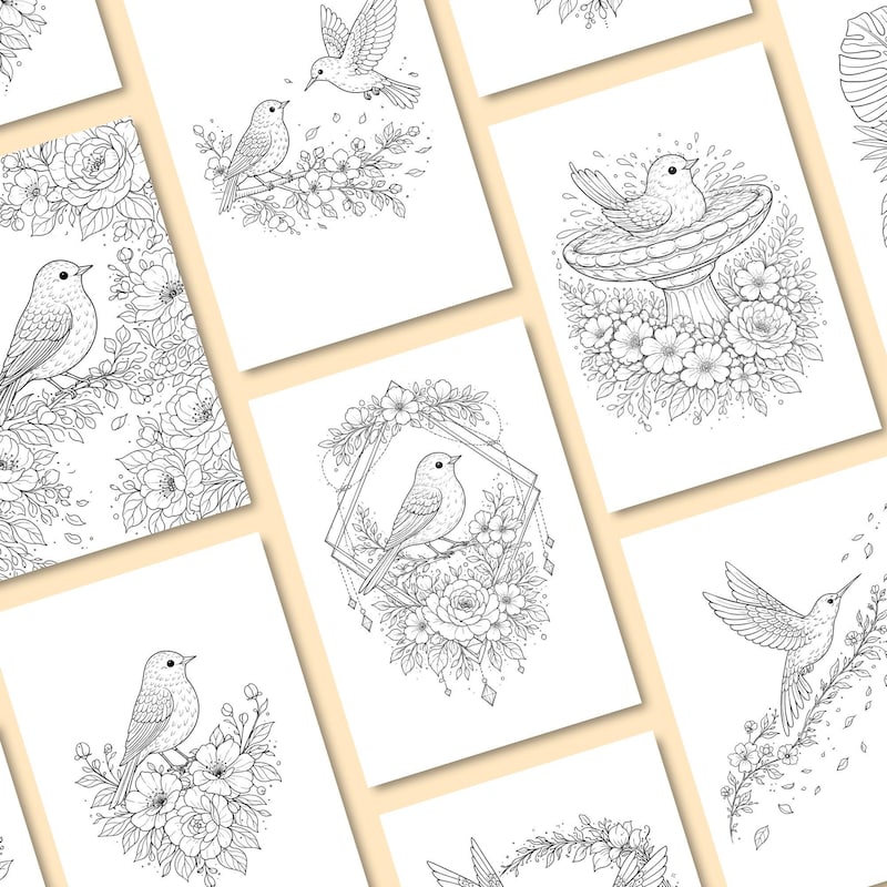 Coloring Books on Birds - Etsy UK