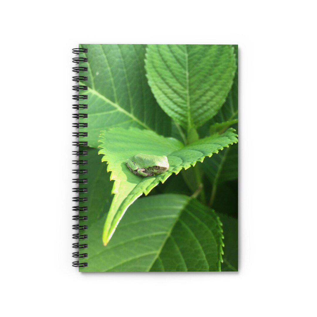 Spiral Notebook - Tiny Green Frog on a Hydrangea Leaf, Ruled Line ...