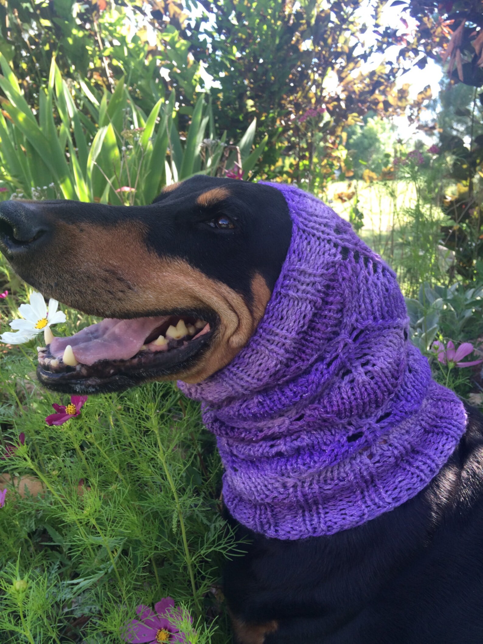 Lacey Leaf Dog Snood PATTERN for Size Medium to Large Dog - Knitting ...