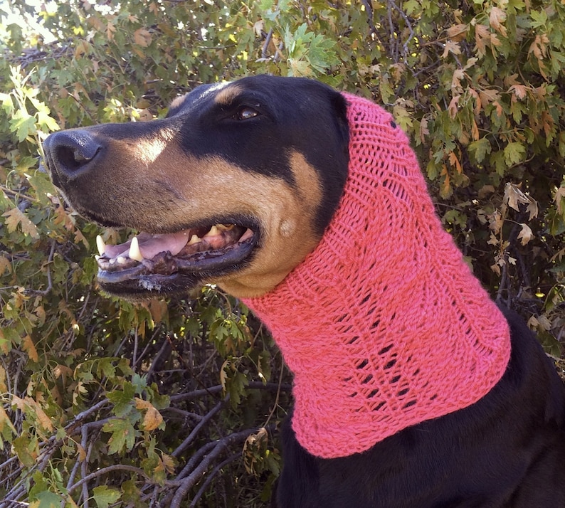 Lace Dog Snood PATTERN for Size Medium to Large Dog - Knitting Pattern ...