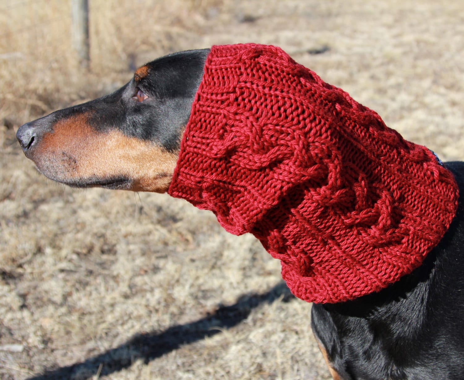Braided Cables - Dog Snood PATTERN for Medium to Large Dogs - Knitting ...