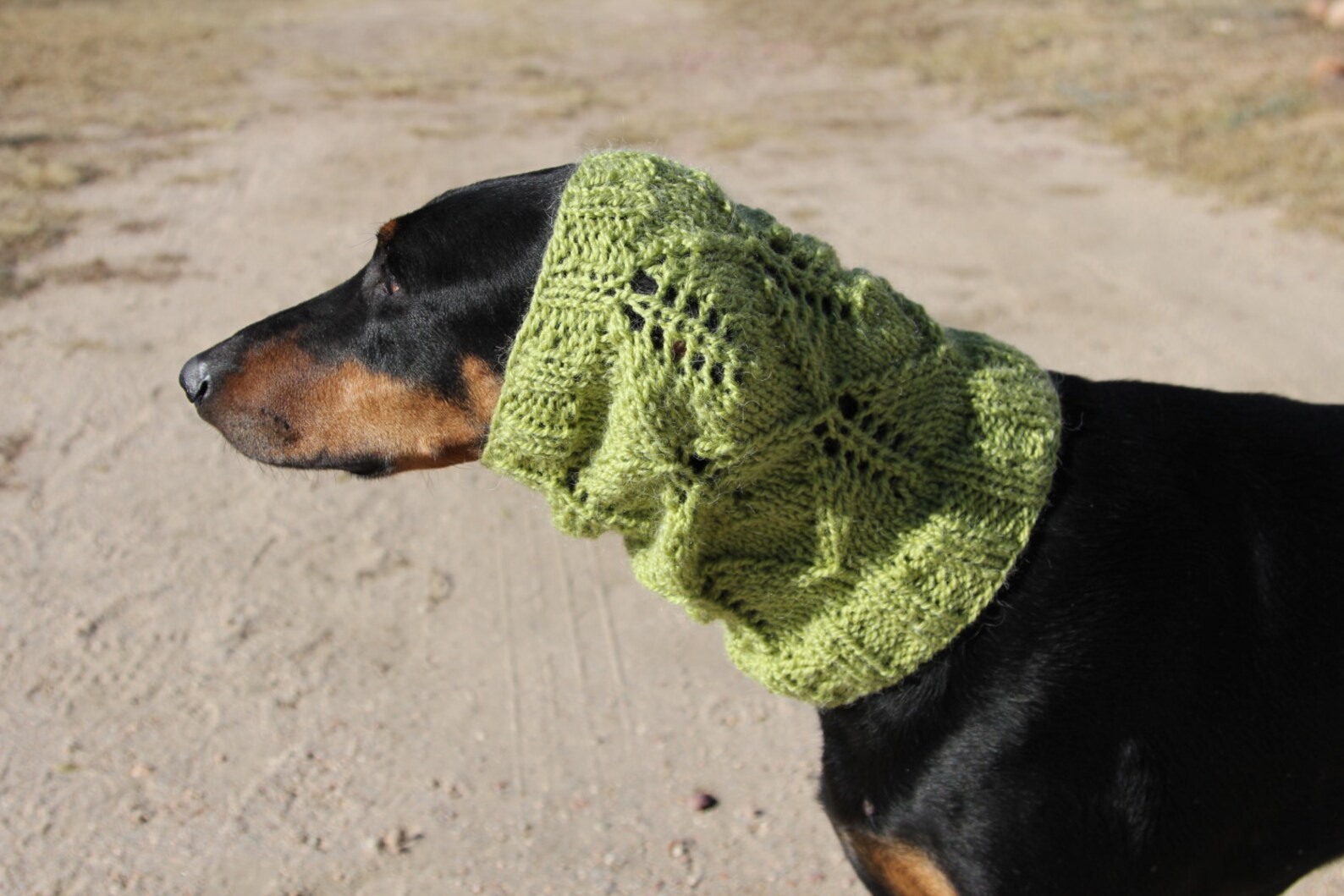 Lacey Leaf Dog Snood PATTERN for Size Medium to Large Dog - Knitting ...