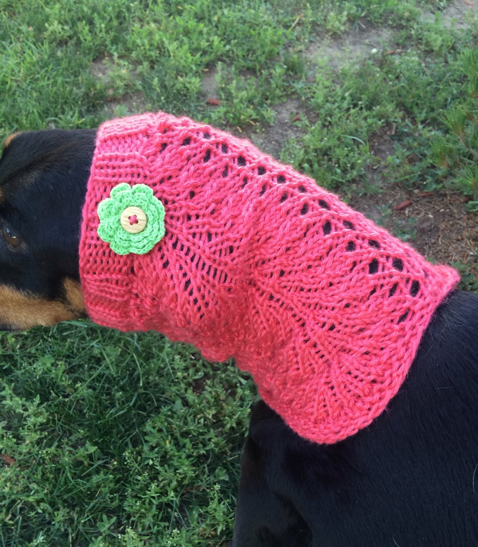 Lace Dog Snood PATTERN for Size Medium to Large Dog - Knitting Pattern ...