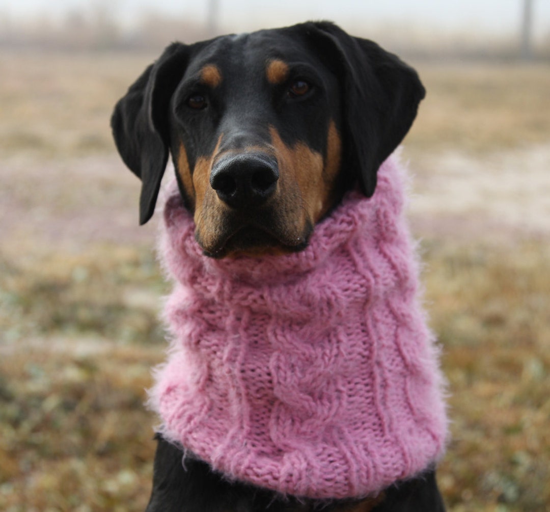 Braided Cables - Dog Snood PATTERN for Medium to Large Dogs - Knitting ...