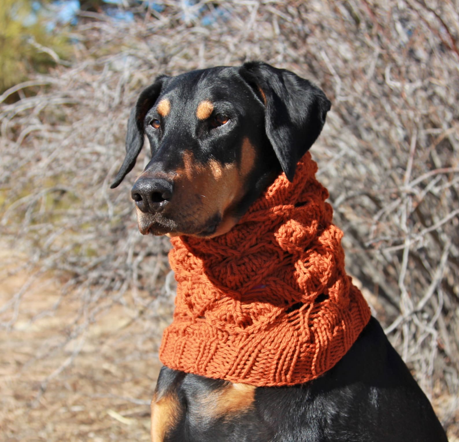 Lacey Leaf Dog Snood PATTERN for Size Medium to Large Dog - Knitting ...