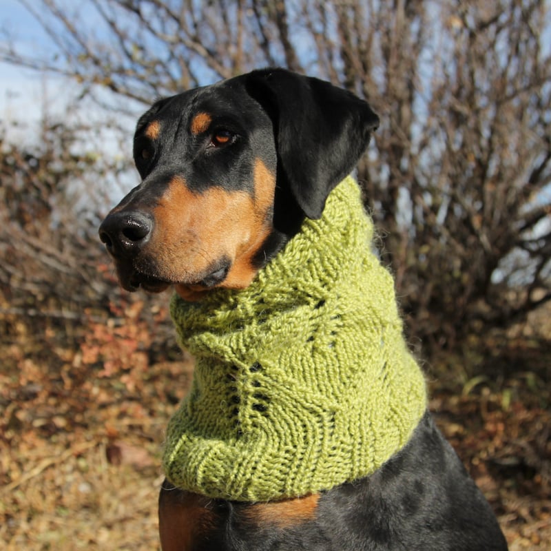 Dog Snood Pattern - Etsy