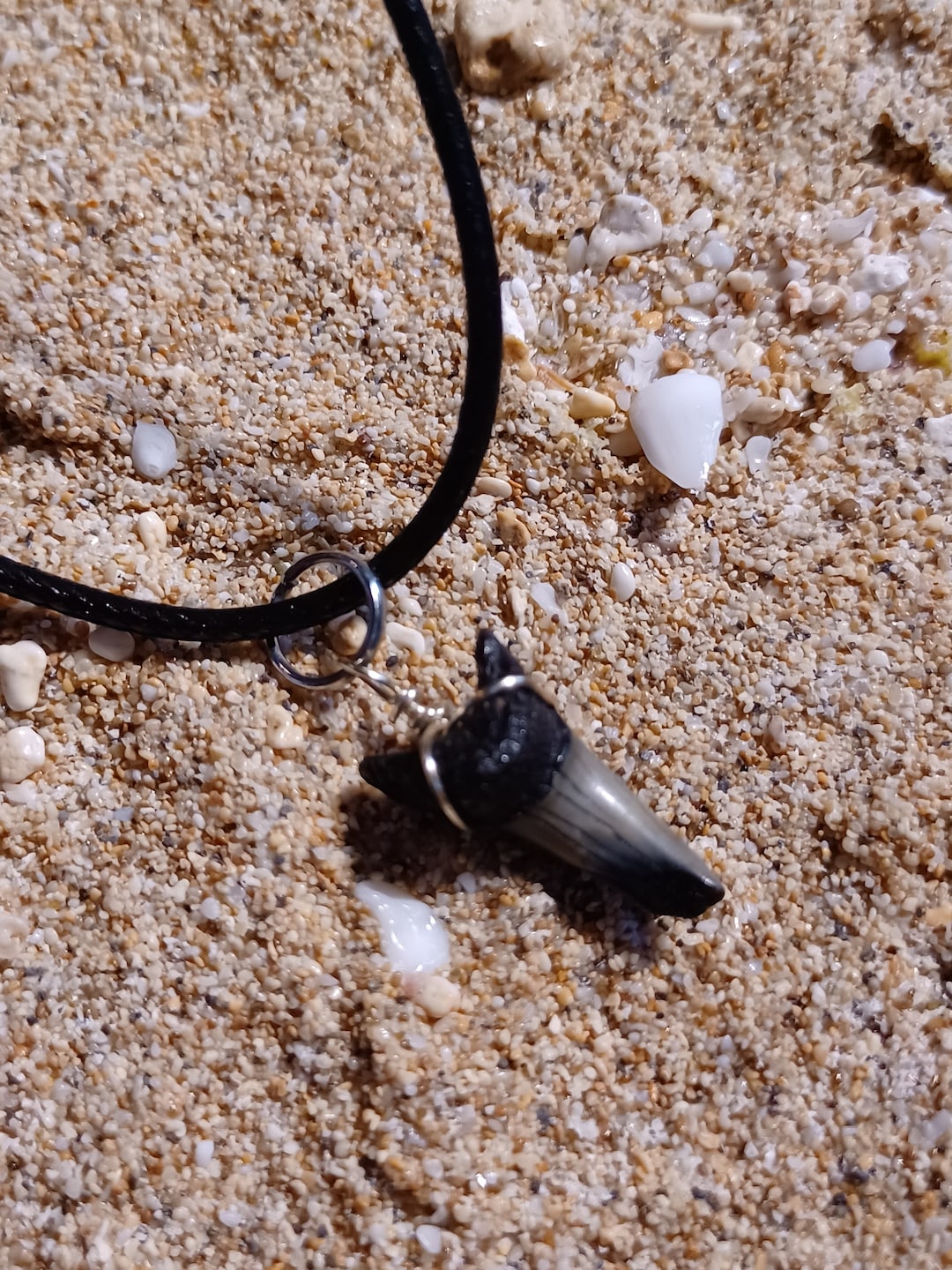 SALE, Shark Tooth Necklace, Black Sharks Tooth, Beach Jewelry, Gift for ...