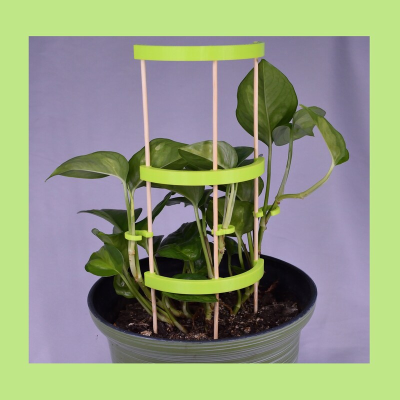 Plant Support - Etsy