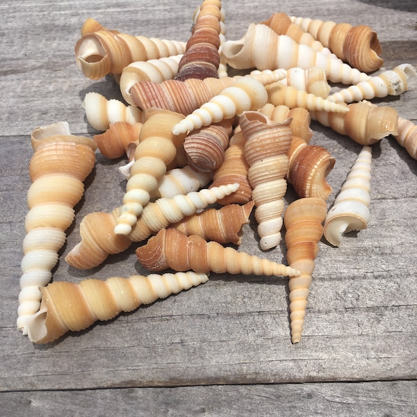 Unicorn Terrarium - Etsy