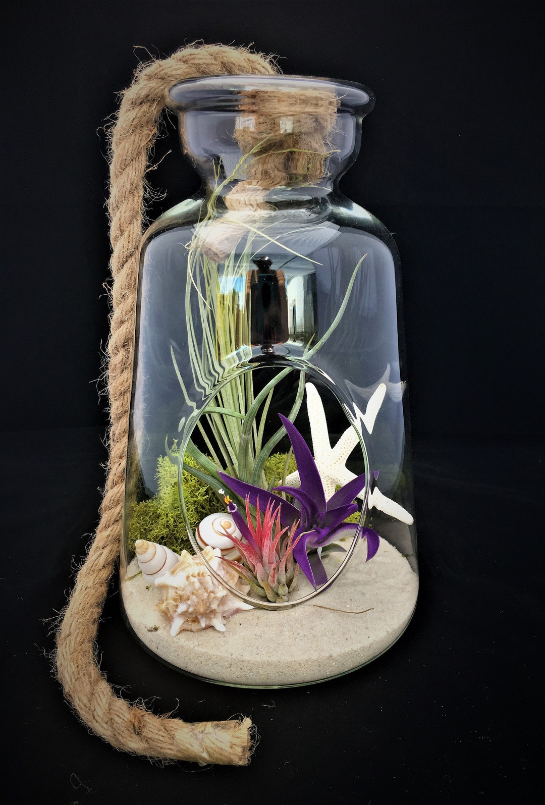 Hanging Air Plant Terrarium: Nautical Rope, Coastal Decor - Etsy