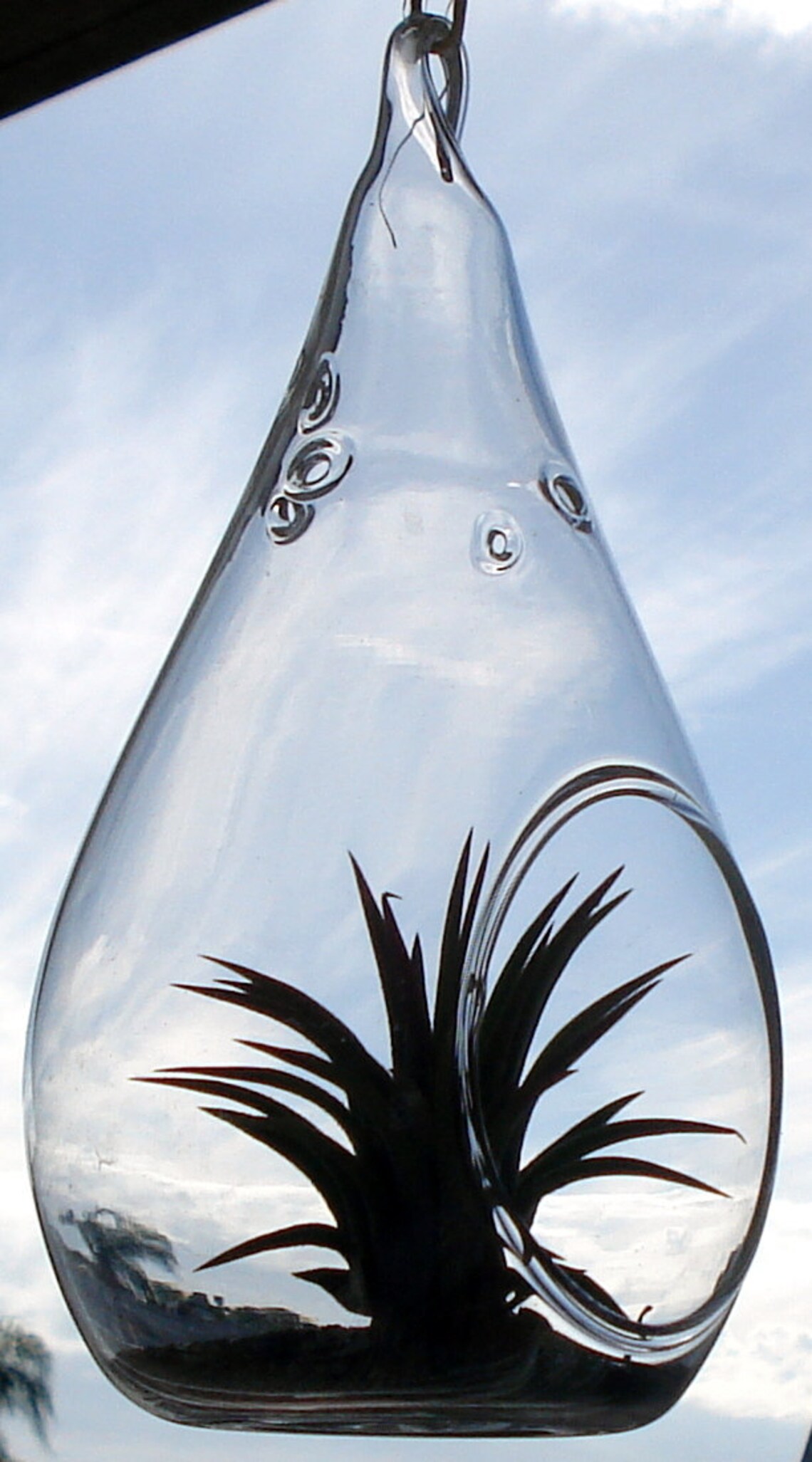 Tear Drop Orb Hanging Air Plant Planter Kit 7 Inches With - Etsy
