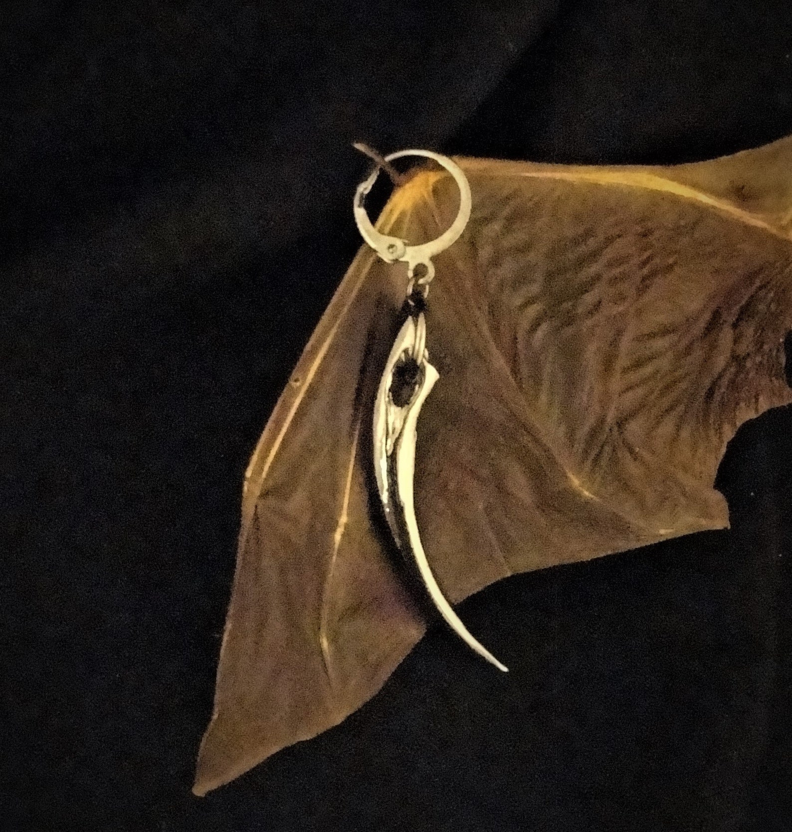 Gothic Jewelry, Single Fang Earring, Fang Drop Earring, Hoop Earring ...