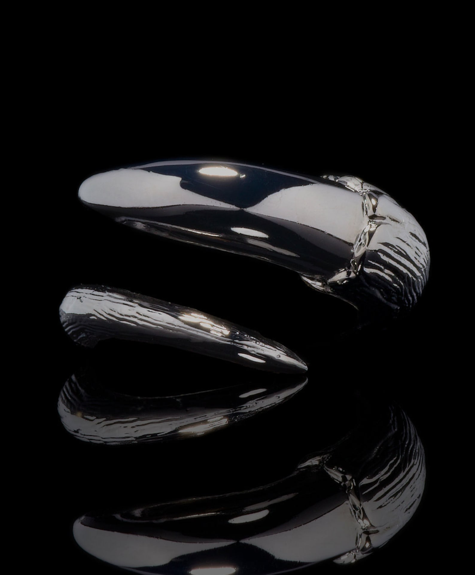 Claw Ring Thumb Claw Claw Rings Talon Claw Ring Claw Ring - Etsy