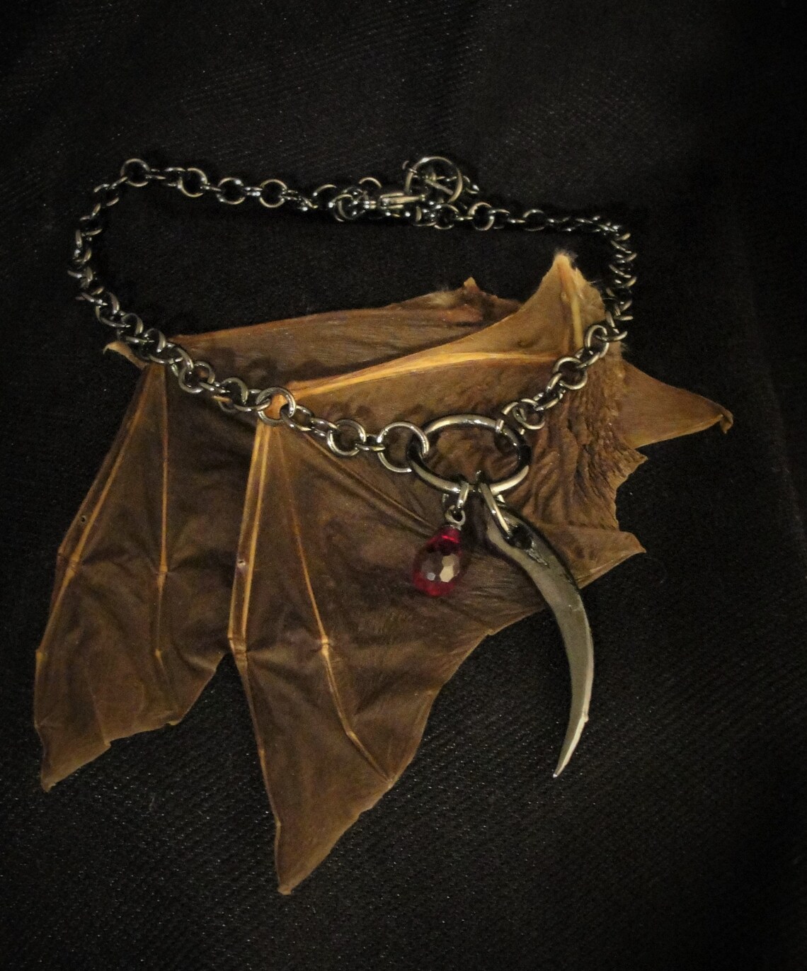 Vampire Choker Fang Choker Fang Jewelry Gothic Jewelry - Etsy