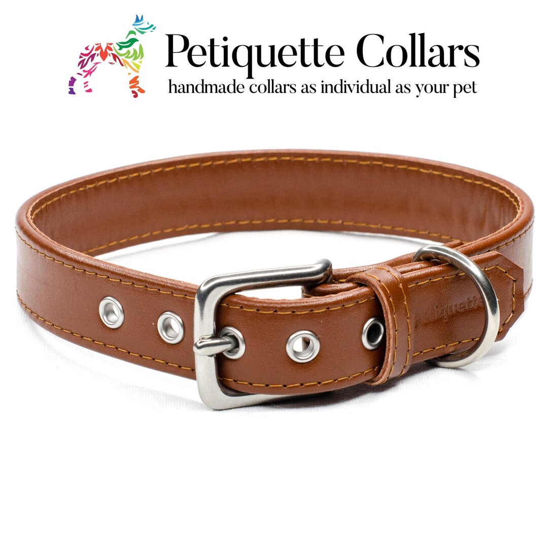 Luxury Brown Leather Dog Collar – Handmade Collar Crafted in the UK - Etsy