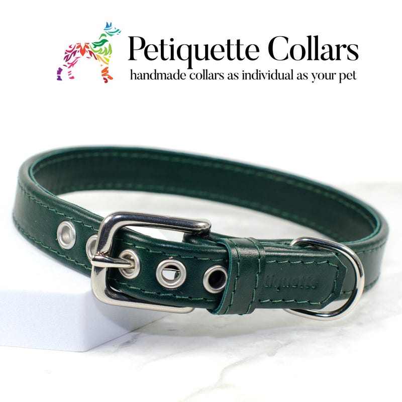 Green Dog Collar - Etsy