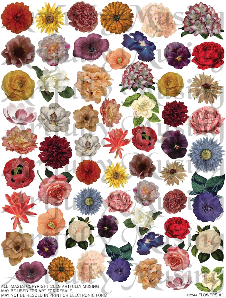 Flowers 1 Botanical Collage Sheet Digital Printable - Etsy