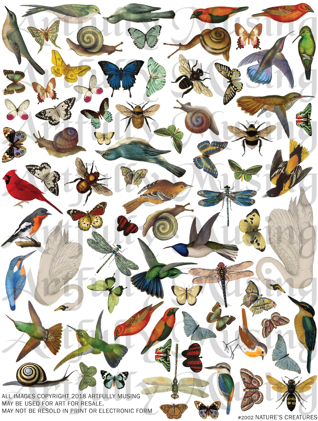 Nature's Creatures Collage Sheet- Digital Printable - Instant Download ...
