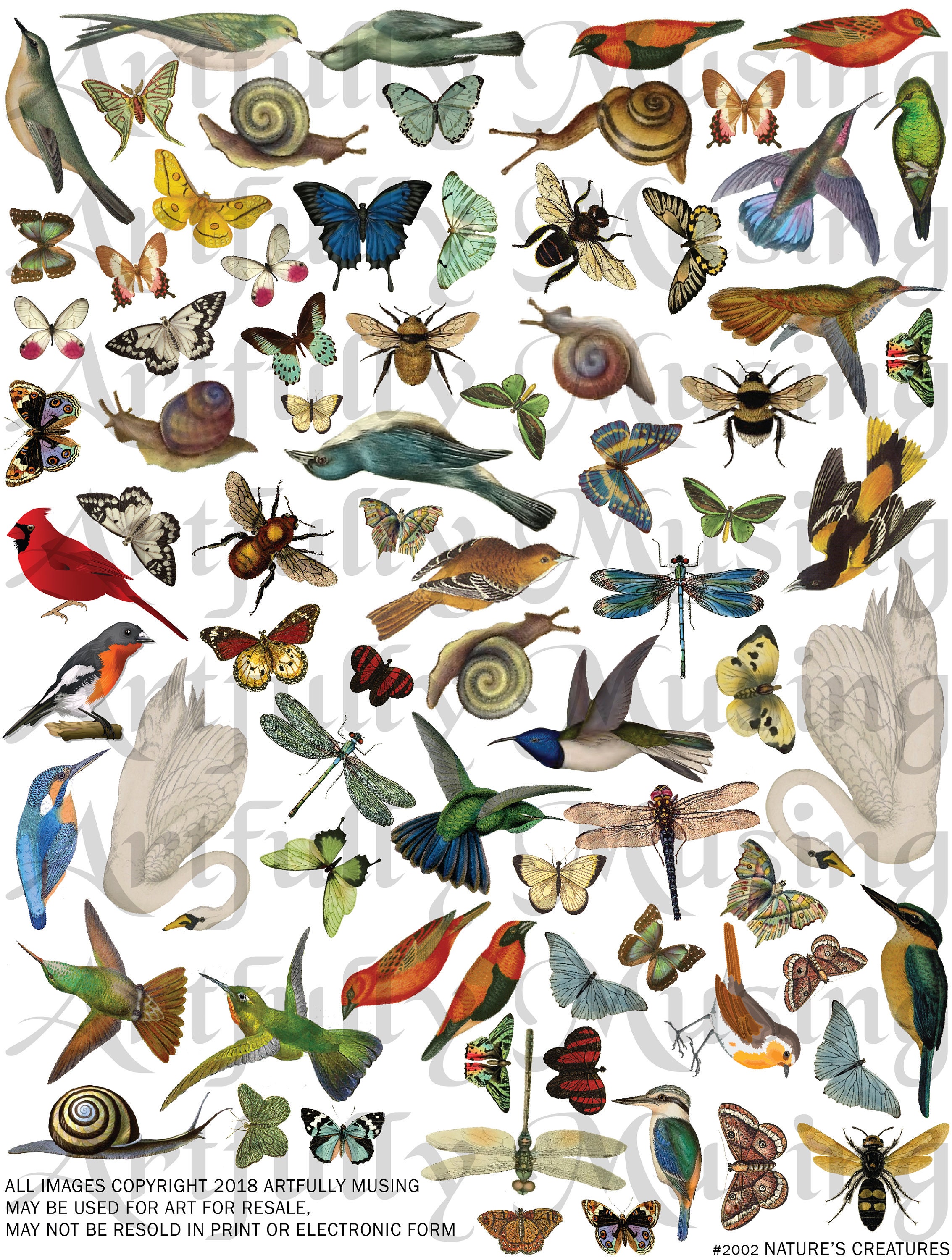 Nature's Creatures Collage Sheet- Digital Printable - Instant Download ...