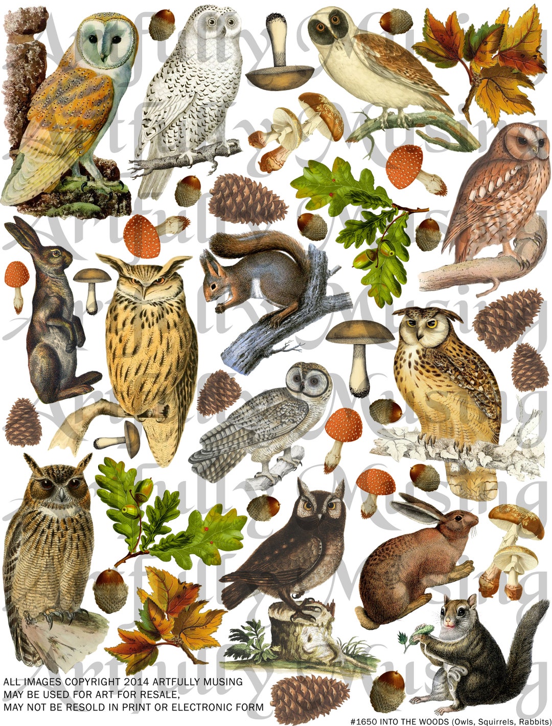Into the Woods Owls Squirrels Rabbits and Nature Collage Sheet- Digital ...