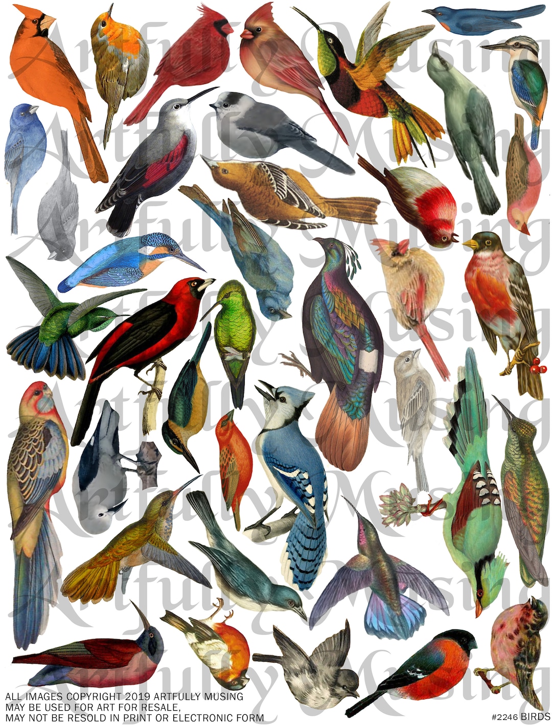 Birds Collage Sheet- Digital Printable - Instant Download (2246) - Etsy