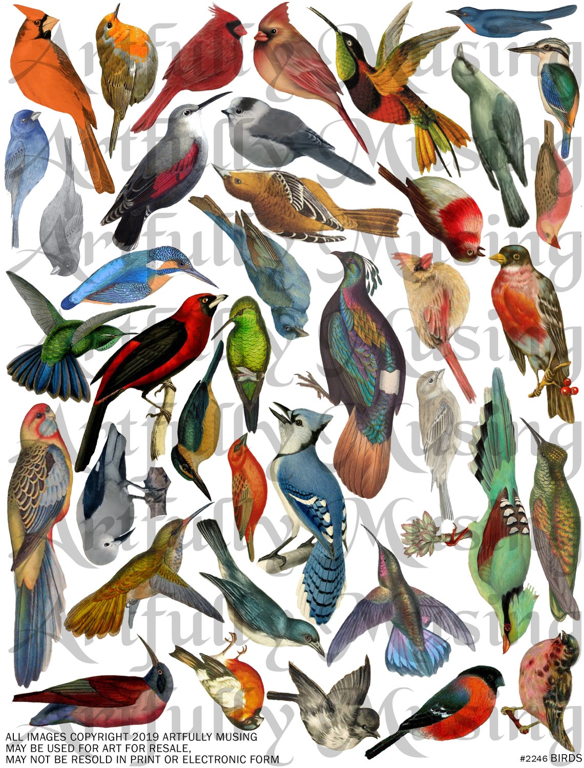 Birds Collage Sheet Digital Printable Instant Download | Etsy