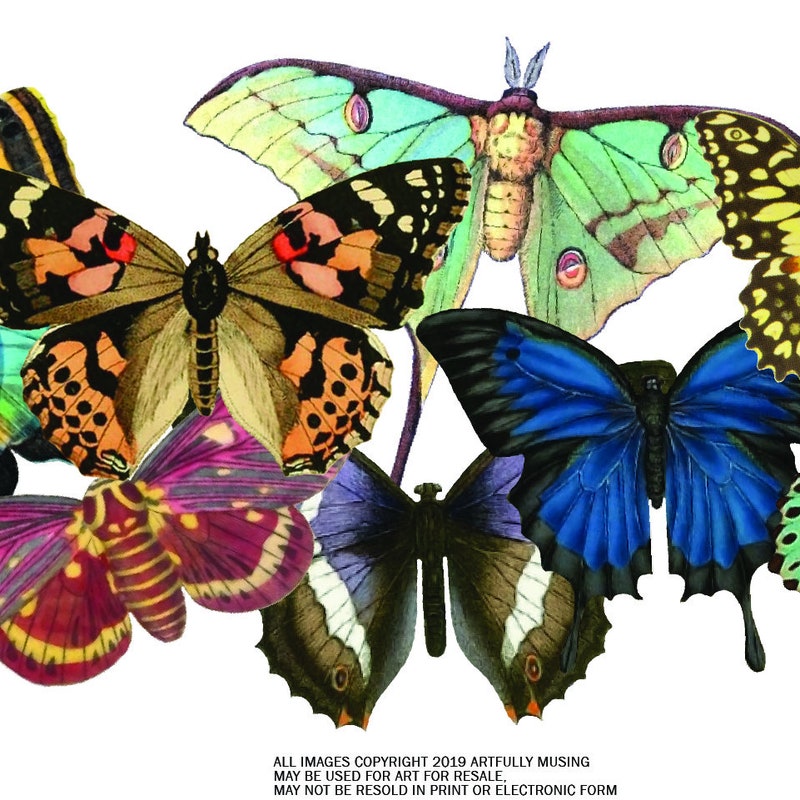 ArtfullyMusing - Etsy