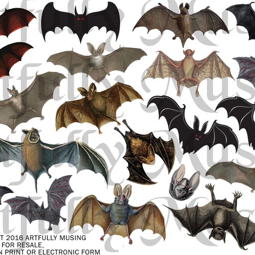VICTORIAN BATS Digital Printable Collage Sheet Antique - Etsy