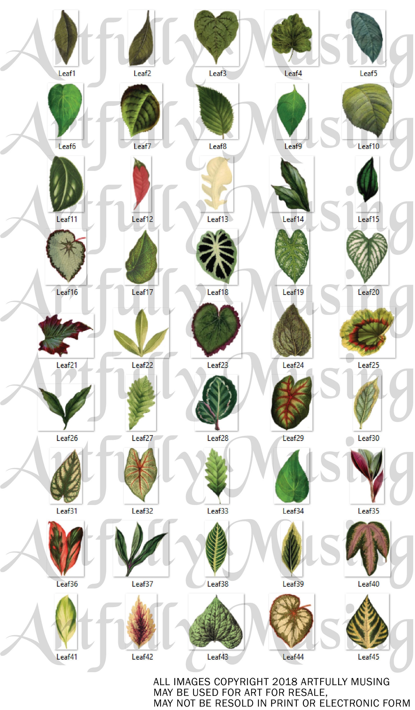 Miniature Leaves 45 Separate Images Digital Image Set Clip - Etsy Canada